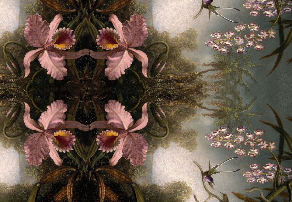 Walid Raad | Hamburger Kunsthalle