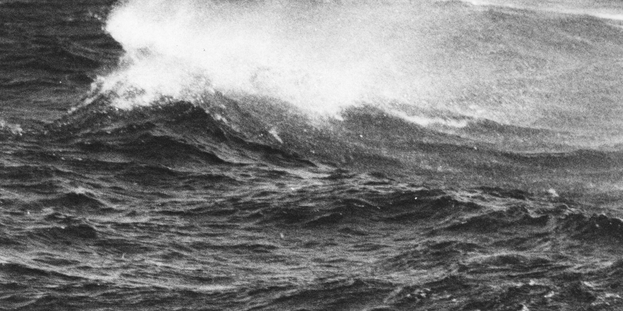 Jochen Lempert | Hamburger Kunsthalle