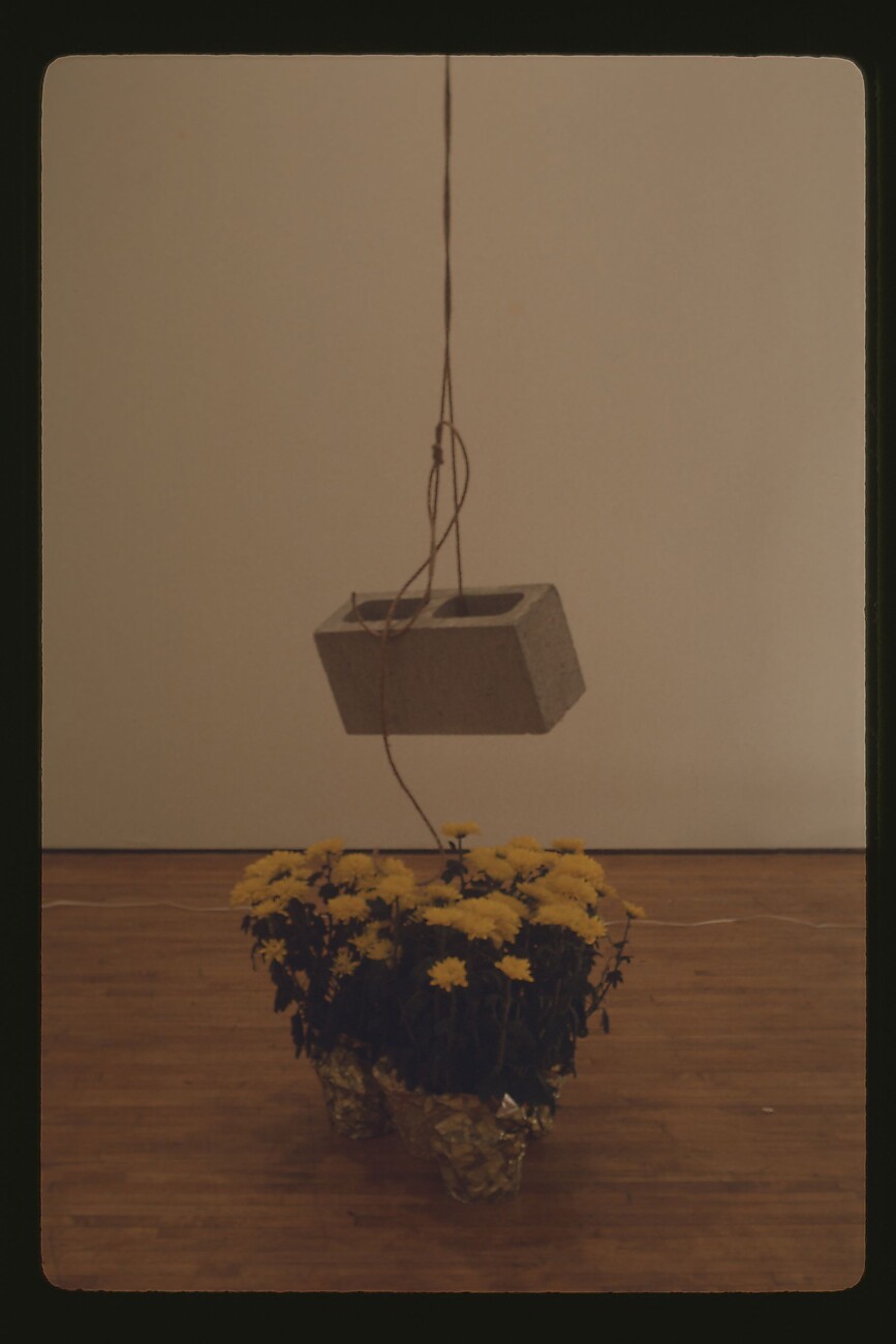 Bas Jan Ader | Hamburger Kunsthalle